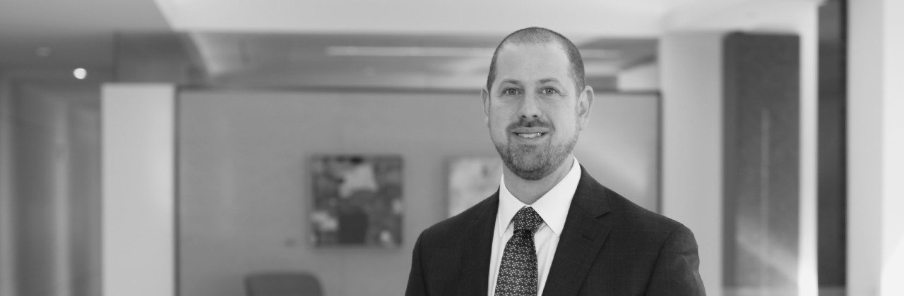 Bryan Cave Leighton Paisner - Joel N. Lander